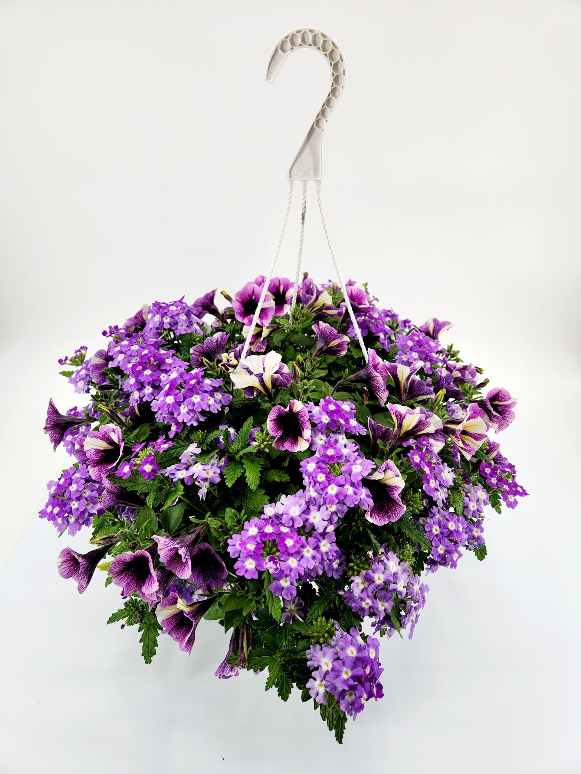 A Summer 10” Combo Hanging Basket #3 - Dees' Nursery