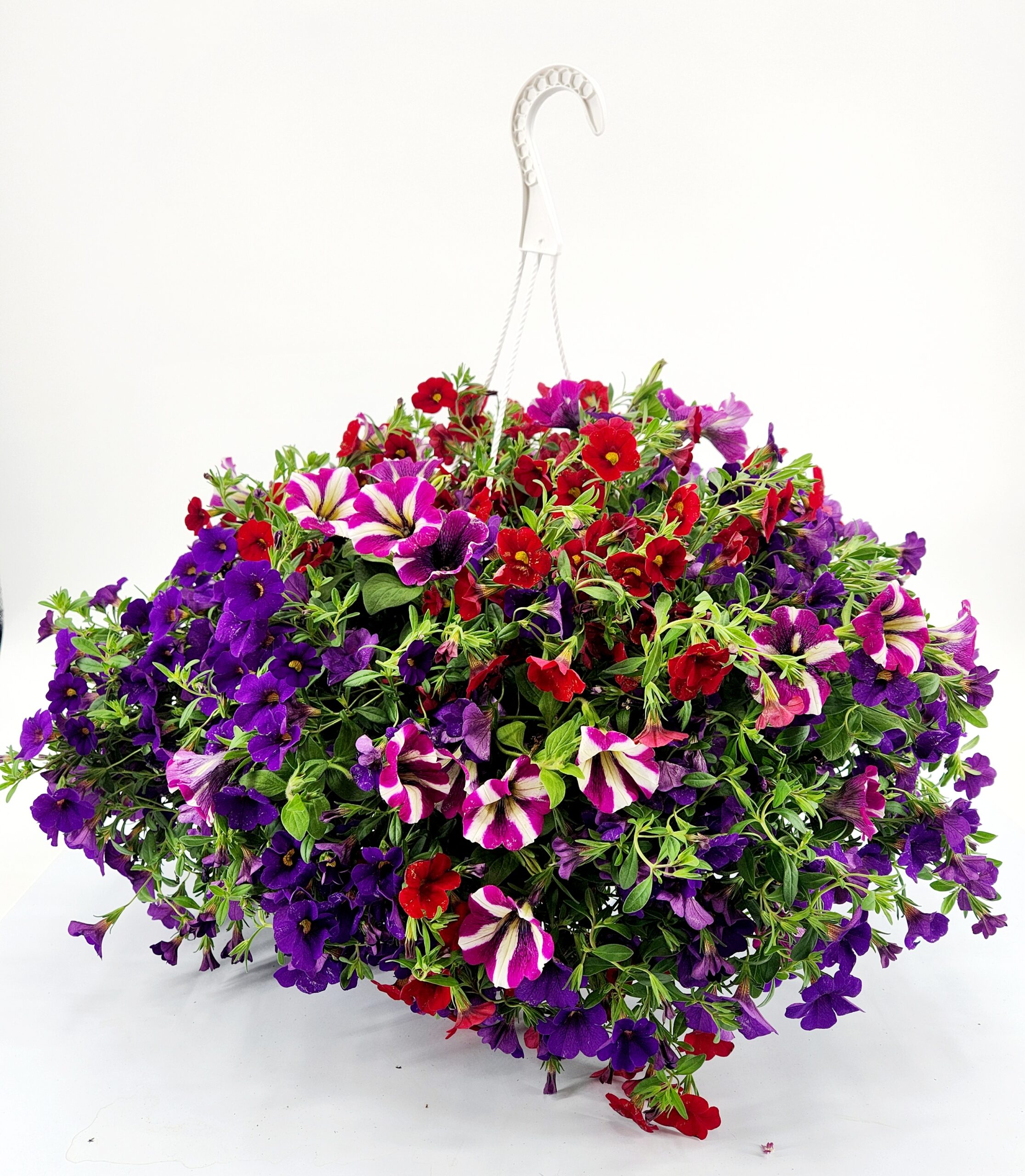 A Summer 10” Combo Hanging Basket #5 - Dees' Nursery